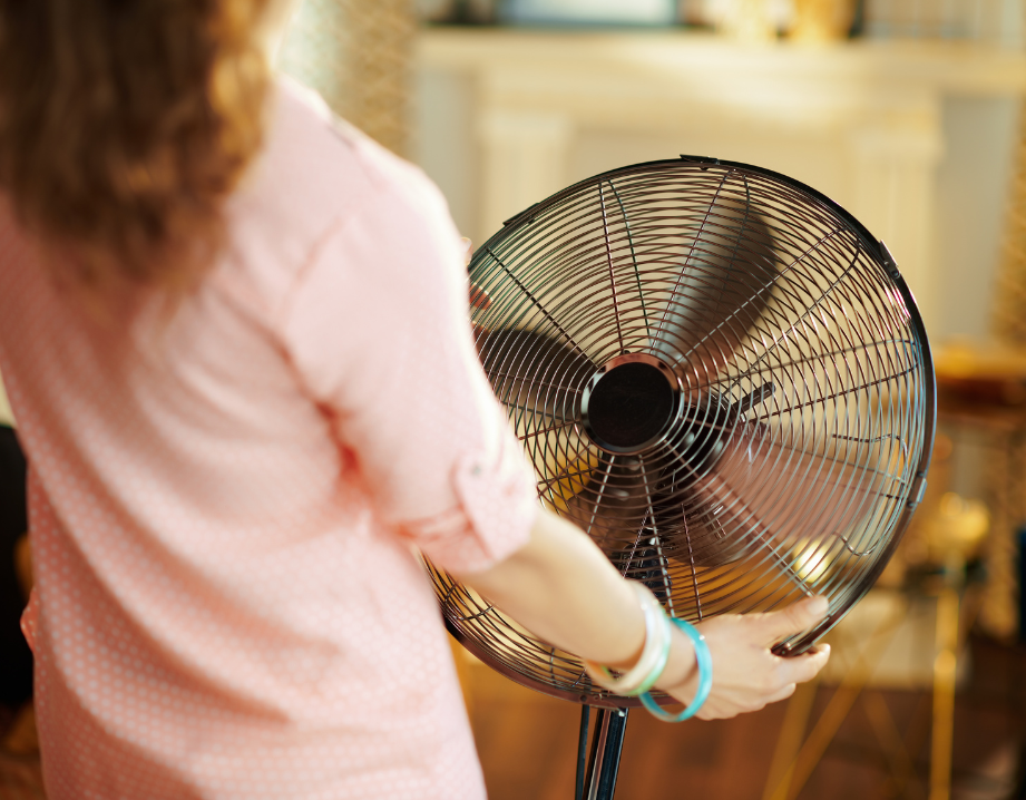 Chinese Medicine For Menopause – Amaluna Wellness